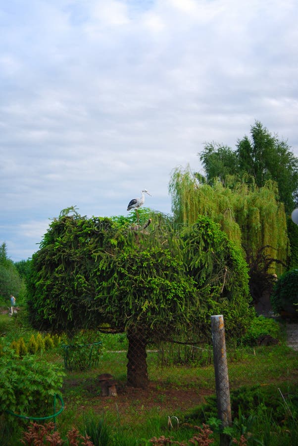 Artificial Stork on a Tree. Rural Landscape. Stock Image - Image of ...