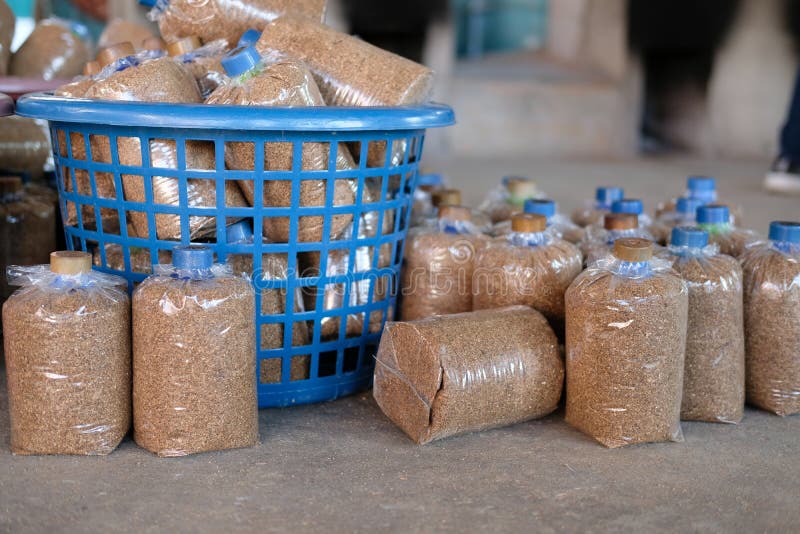 Artificial Substrate in Bag for Growing Mushroom in Farm Stock Image ...