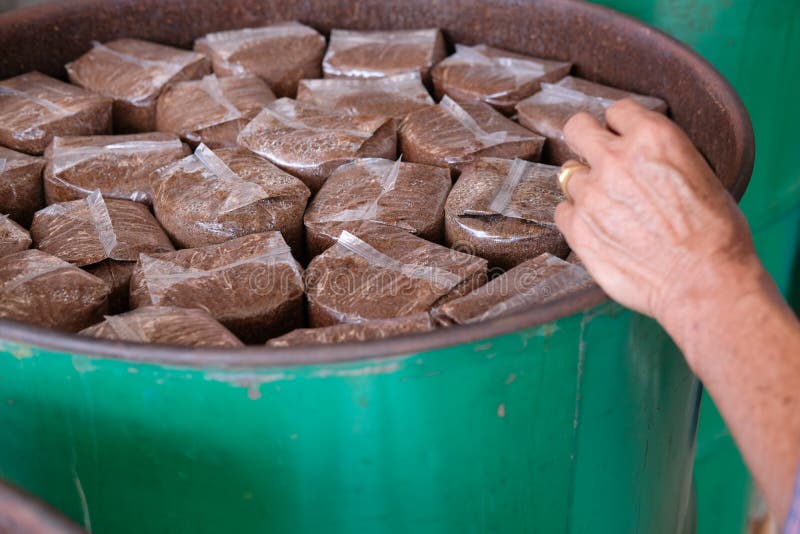 Artificial Substrate in Bag for Growing Mushroom in Farm Stock Image ...