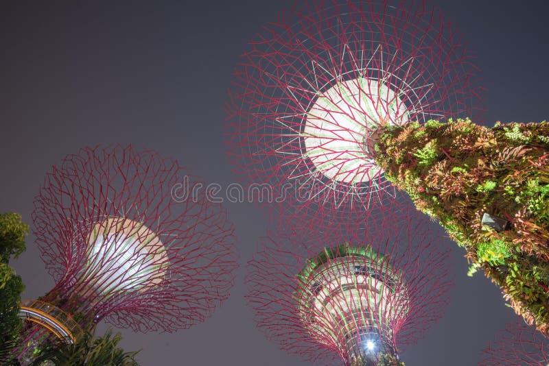 Low Angle View of Artificial Super Tree Illuminated at Night in ...