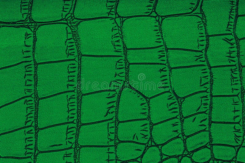 Artificial Textured Crocodile Skin, Green Color. Dark Green Leather ...