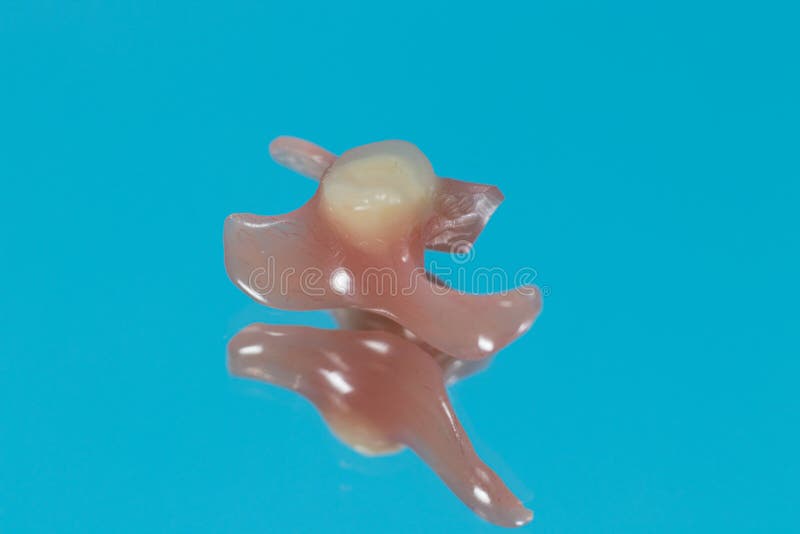 Artificial Tooth Prosthesis in on a Blue Background. Single Removable ...