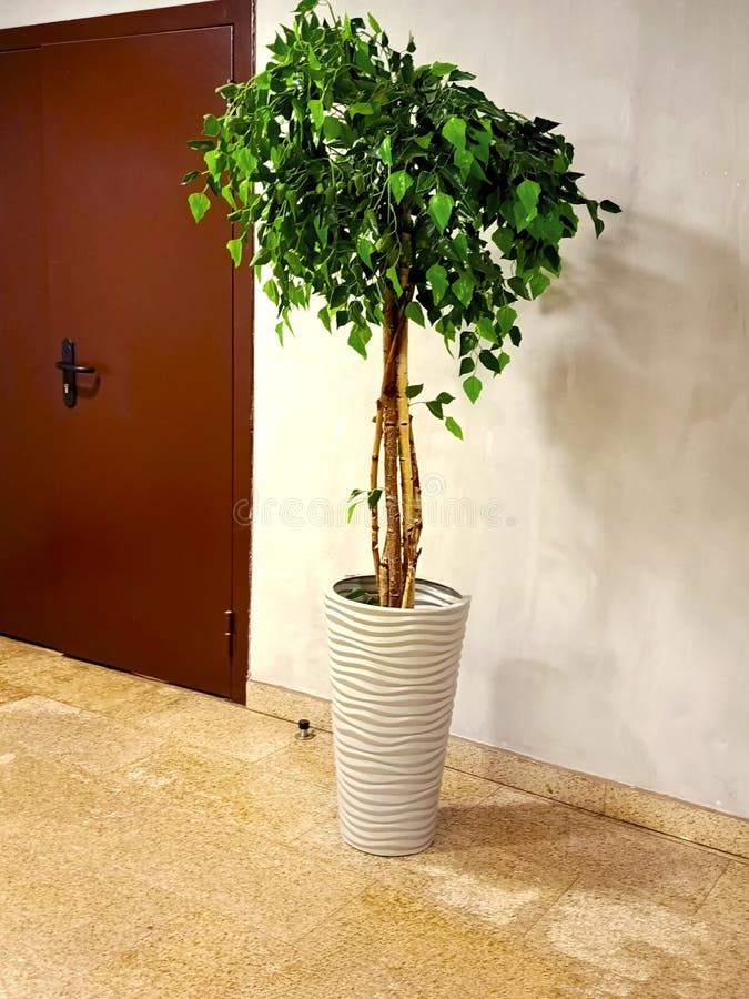 An Artificial Tree in a White Vase Stands in the Lobby of the Hotel ...