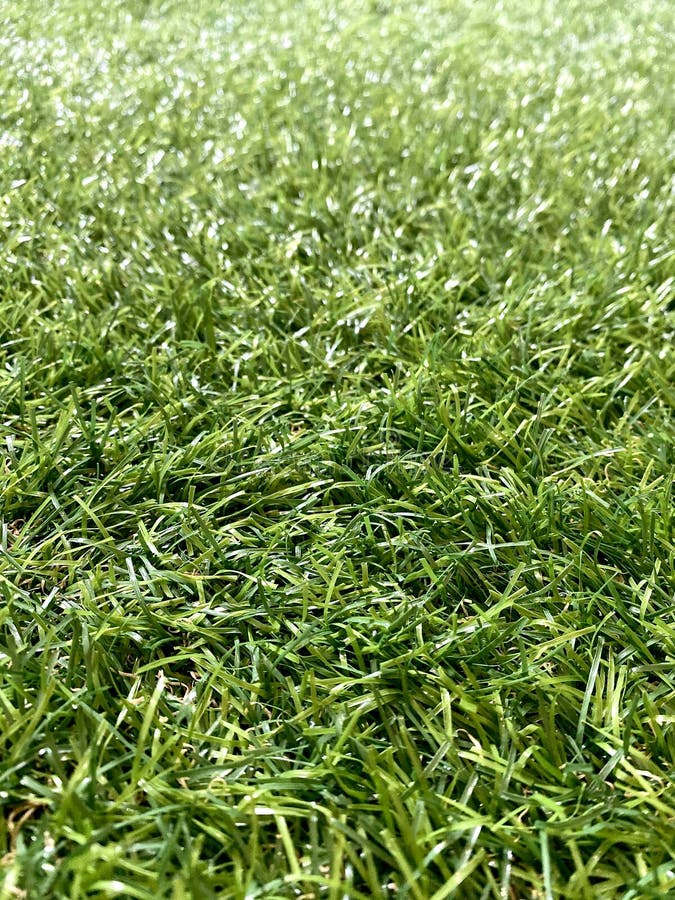 Artificial turf stock photo. Image of green, grass, artificial - 159486474