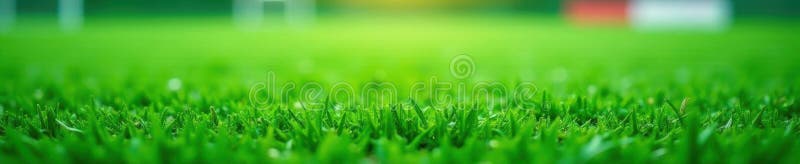 Artificial Turf Hockey Field Surface Close Up, Competition, Game ...