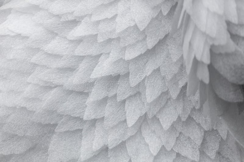 Artificial White Feathers on the Wing As Background. Texture. Stock ...