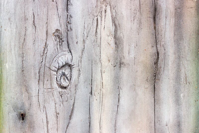 Artificial Wood and Bark. Imitation of Wood Bark with Concrete Stock ...