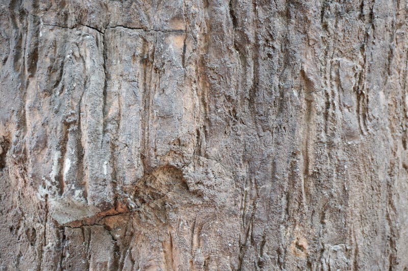 Artificial wood texture stock image. Image of black, closeup - 89974659