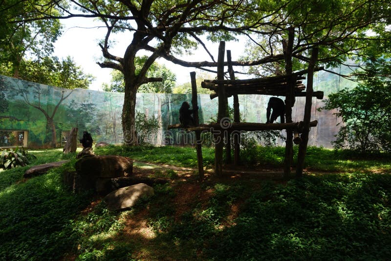 Biotic Resources Stock Photos - Free & Royalty-Free Stock Photos from ...