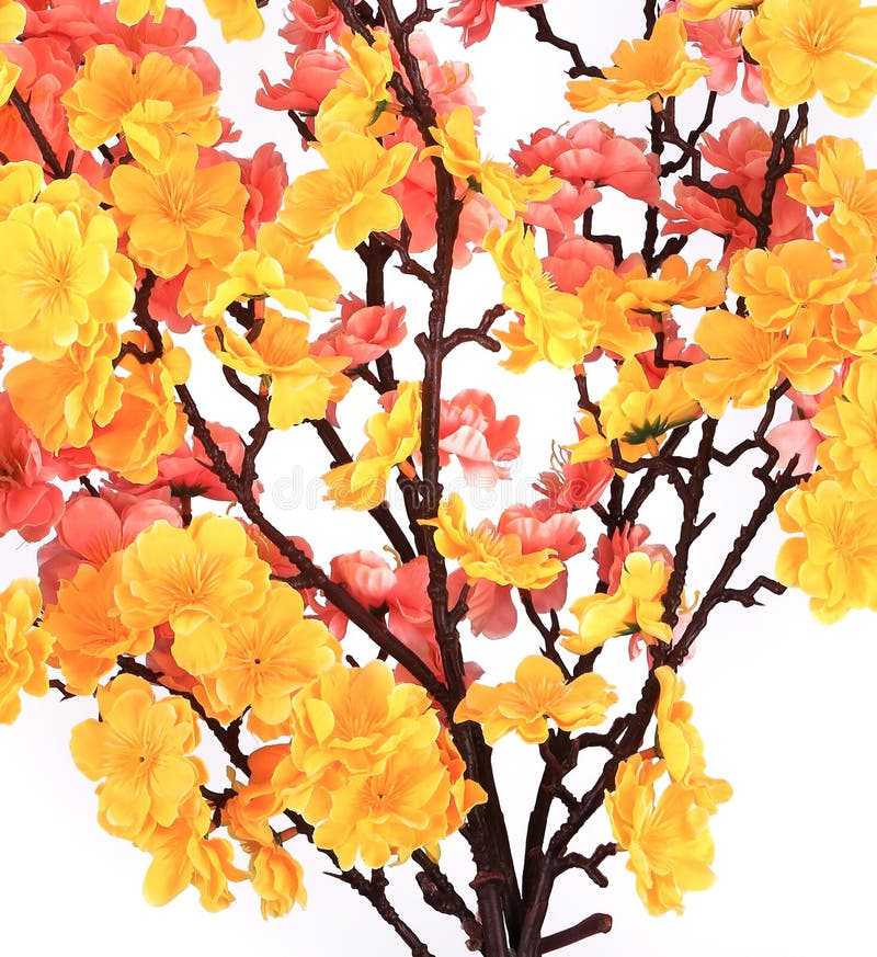 Artifician Sakura with Flower Pink and Orange Stock Photo - Image of ...