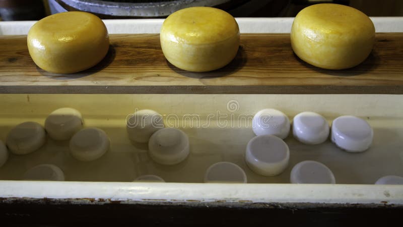 Artisan edam cheese stock photo. Image of dish, flags - 142894006