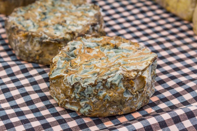 Artisan farm cheese stock image. Image of eating, cuisine - 73592483