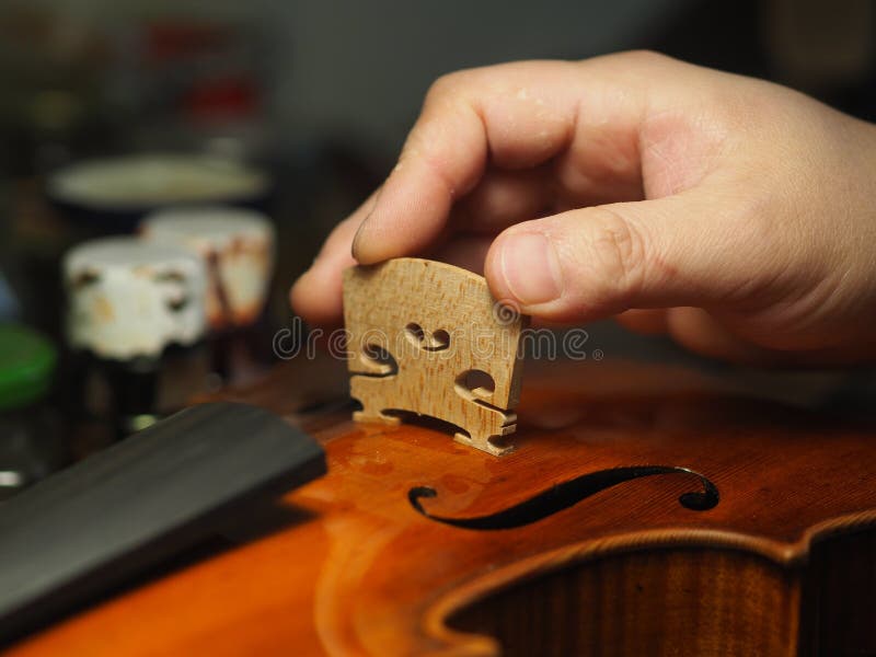 Luthier Positioning a Bridge To a Violin with Precision Stock Image ...