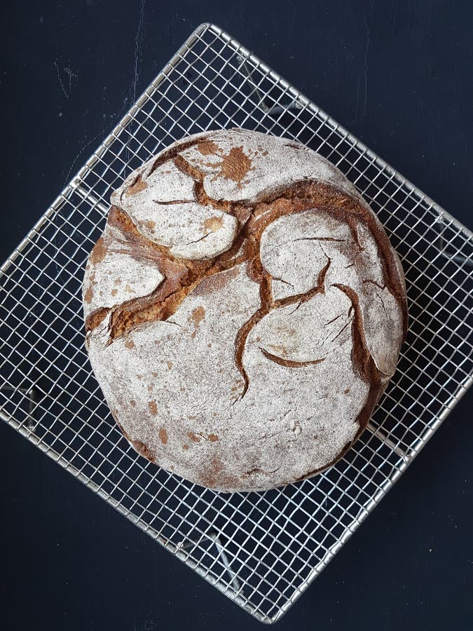 Artisan round bread stock image. Image of grain, pastry - 98194809