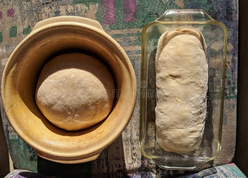 Artisanal Bread Loaf Dough Rising Stock Photo - Image of dinner, warm ...
