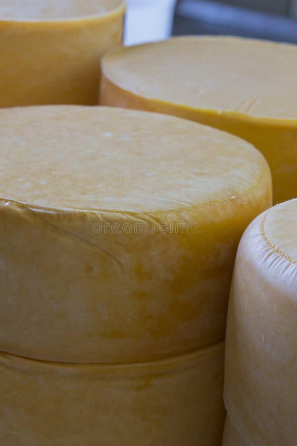 Artisanal Parmesan Cheese in the Maturation Process Stock Photo - Image ...