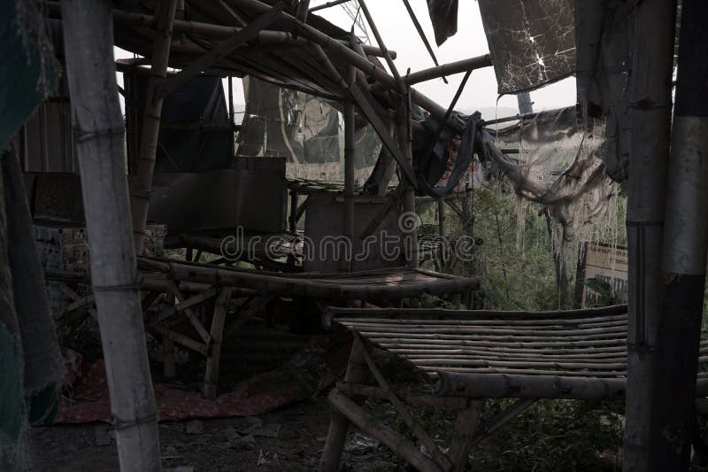 Wooden Shack Surrounded with Grass and Trees Stock Photo - Image of ...