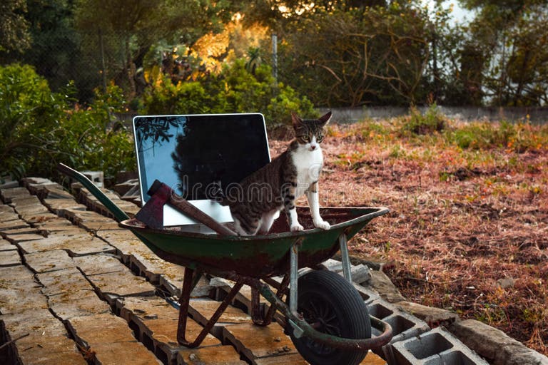 Wheelbarrow Logo Stock Photos - Free & Royalty-Free Stock Photos from ...