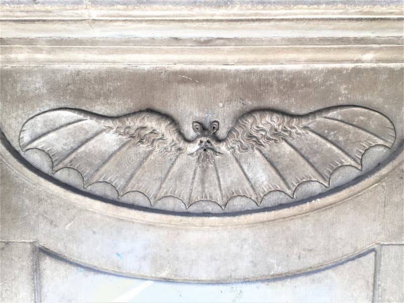 Bat and art stock photo. Image of detail, style, peculiar - 128947394