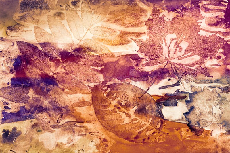 Autumn Leaf Prints stock photo. Image of colours, fall - 16632054