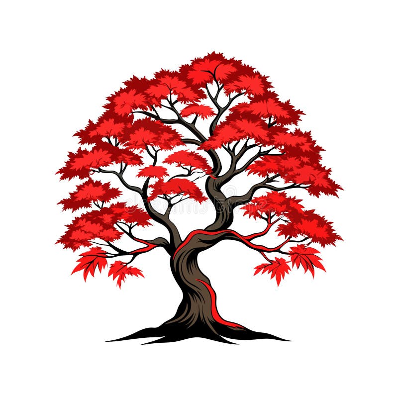 Japanese Maple Tree Artistic Bold Design Stock Illustration ...