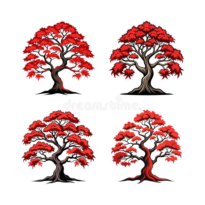 Japanese Maple Tree Artistic Bold Design Stock Vector - Illustration of ...