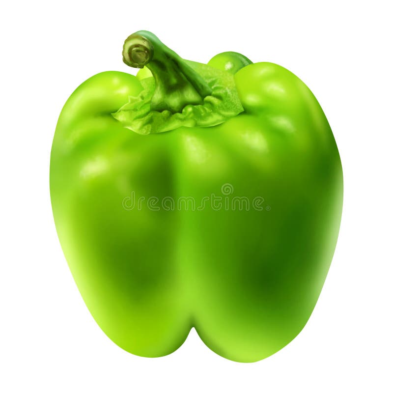 Capsucum Stock Illustrations – 1 Capsucum Stock Illustrations, Vectors ...