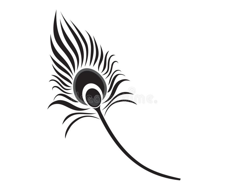 Artistic Creative Peacock Feather Stock Vector Illustration Of Celebration Creation 276113209