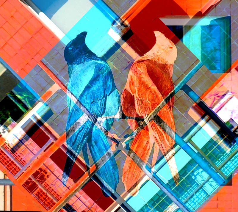 Artistic Crow red and blue stock photo. Image of looks - 222431524