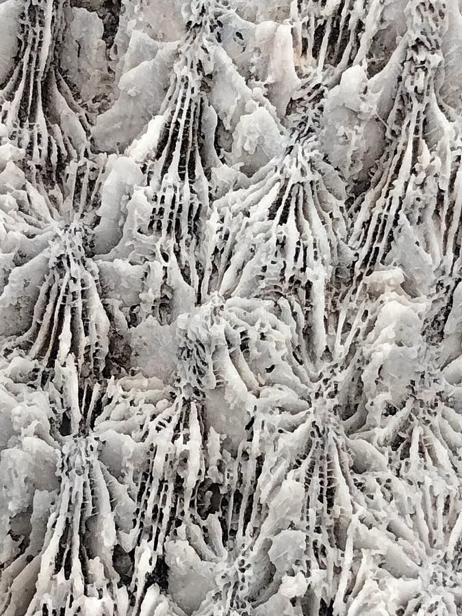 Artistic Design of Coral Rock on the Beach Stock Image - Image of ...