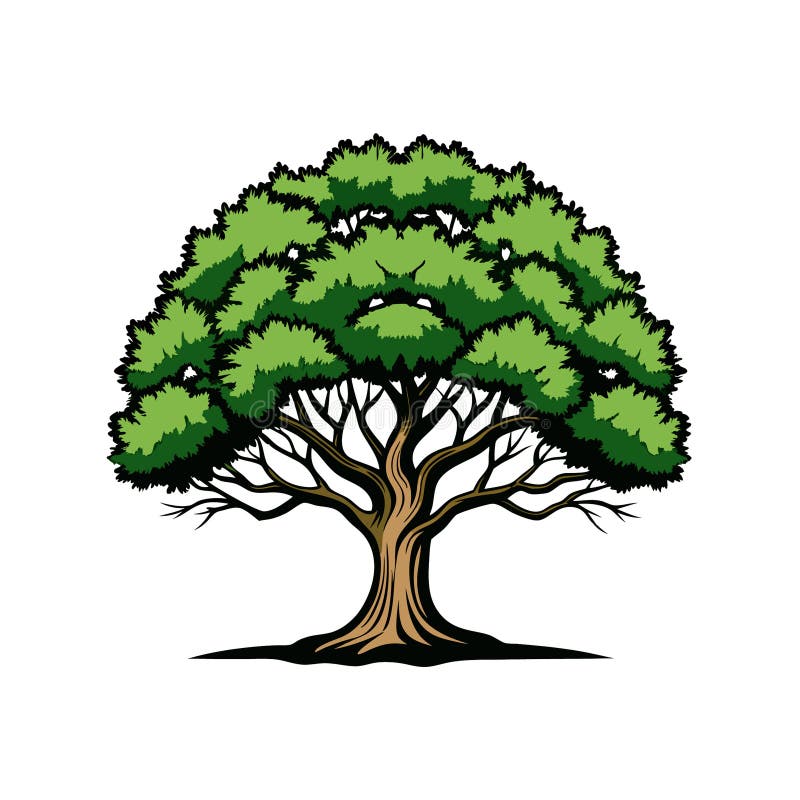 Artistic Coast Live Oak Tree Illustration with Bold Outline Stock ...