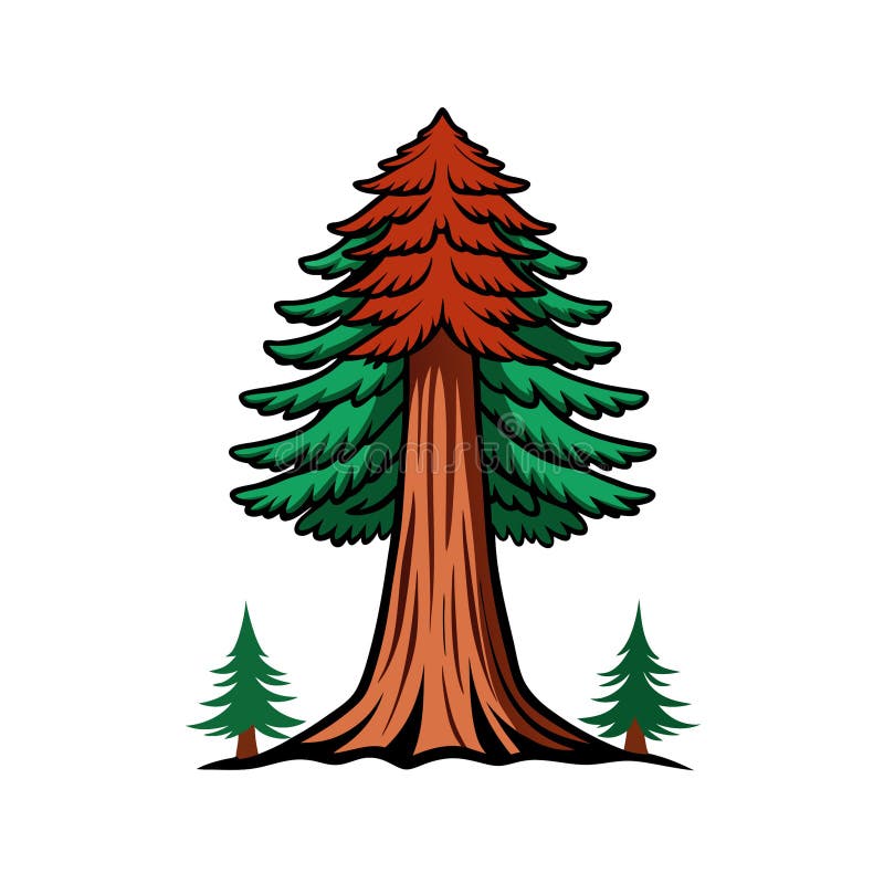 Artistic Redwood Tree Design Stock Illustration - Illustration of ...
