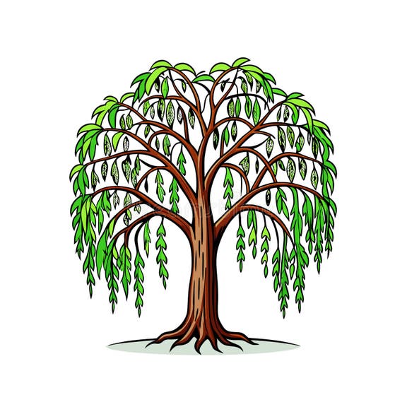 Artistic Weeping Birch Tree Design Stock Illustration - Illustration of design, outdoor: 362321733