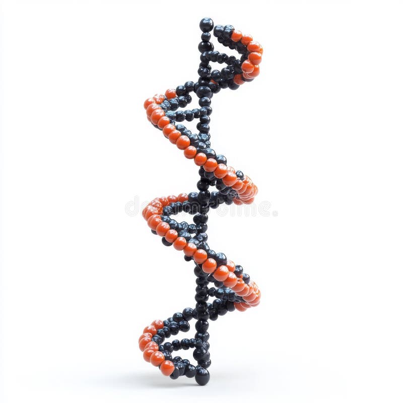 Artistic Dna Double Helix Structure Composed of Alternating Black and ...