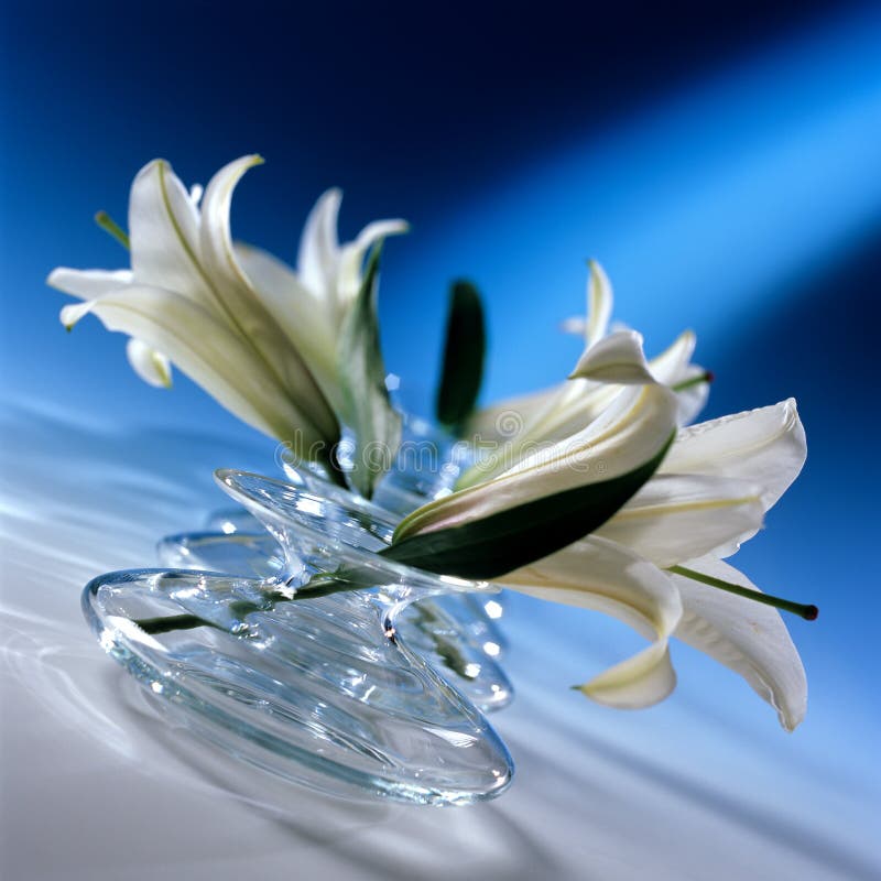 Artistic Flower Composition Stock Photo - Image of floral, flower: 87595904