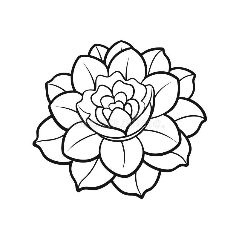 Wonder Bloom Flower Illustration with Bold Outline Stock Image ...