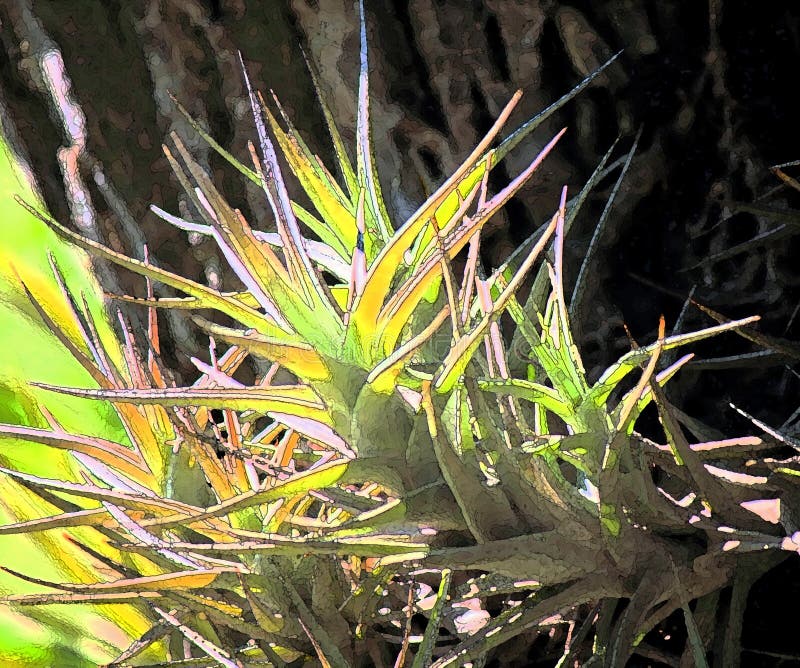 Artistic Image of Epiphyte Plant Stock Photo - Image of colours, spiky ...