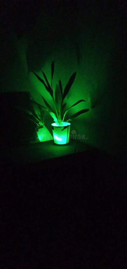 Artistic Lamp at Horrible Night. Stock Photo - Image of lighting, light ...