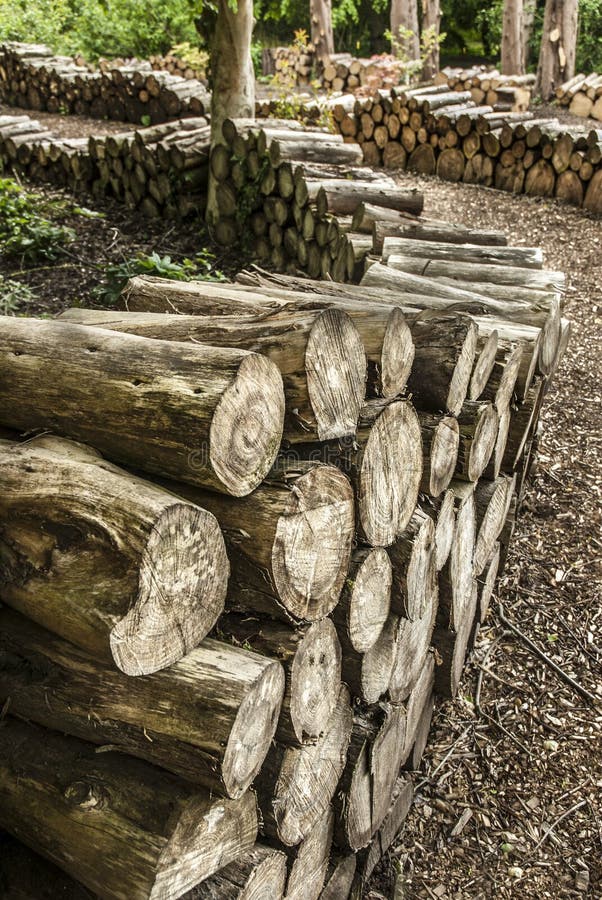 Artistic Log Pile stock photo. Image of stack, trees - 31446308