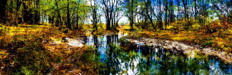 An Artistic Panoramic Image of a Forest and Water Landscape Stock ...