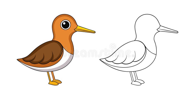 Realistic Common Snipe Bird Illustration Stock Vector - Illustration of ...