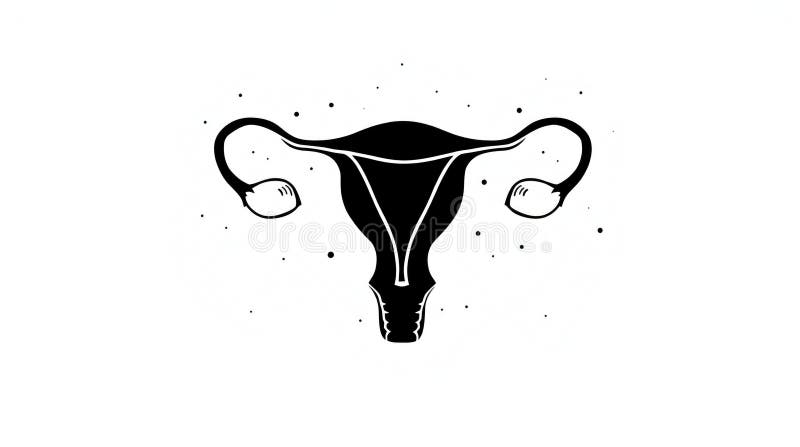 Artistic Representation of a Female Reproductive System in Black and ...