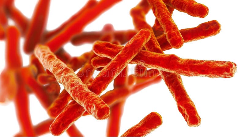 Mycobacterium Forms Stock Illustrations – 7 Mycobacterium Forms Stock ...