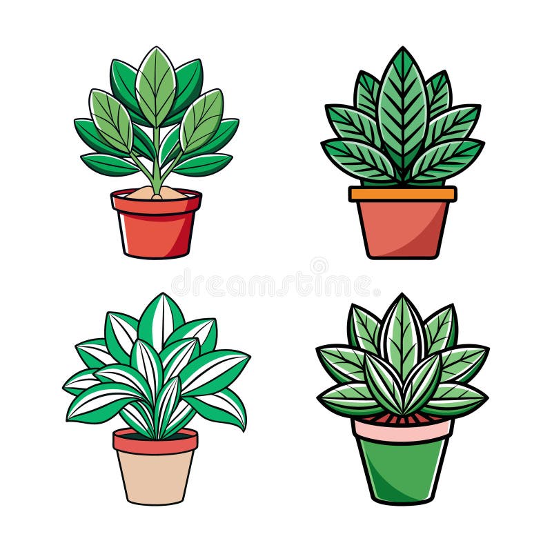 Artistic Robert S. Bonnet Houseplant Design Stock Vector - Illustration ...