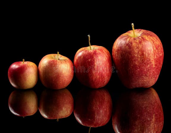 An Artistic Row of Stacked Apples from Smallest To Largest on a Smooth ...