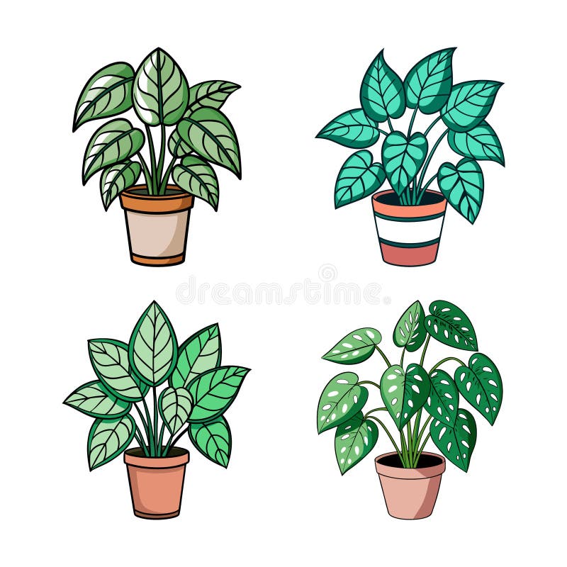 Artistic Scindapsus Pictus Houseplant Design Stock Vector ...
