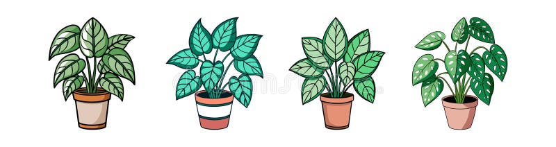 Artistic Scindapsus Pictus Houseplant Design Stock Vector ...