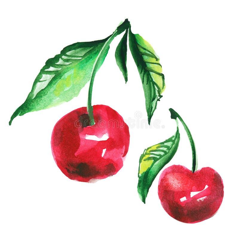 Artistic Single Red Cherry Illustration. Stock Illustration ...