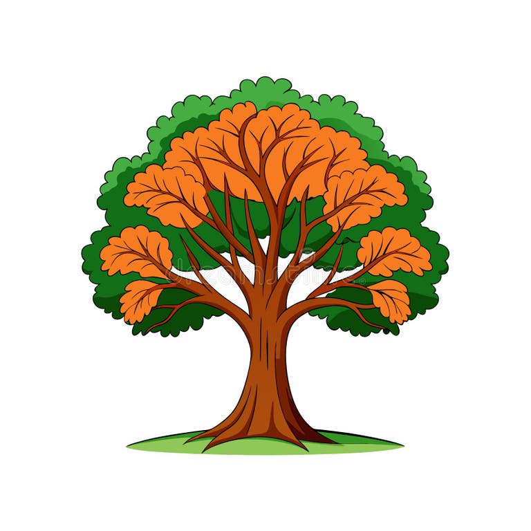 Artistic Beech Tree Vector Design Stock Illustration - Illustration of ...