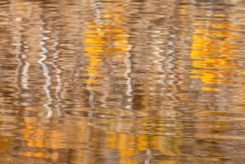 Artistic View of Reflections of the Fall Foliage on the Water Surface ...